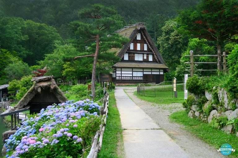 Modern & Traditional Japan Cultural Experiences to Enrich a Visit