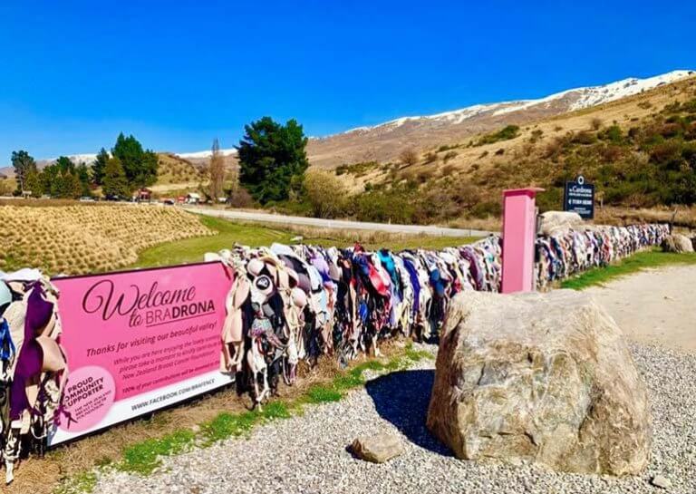 Jaw-Dropping Day Trips from Queenstown Not to Be Missed