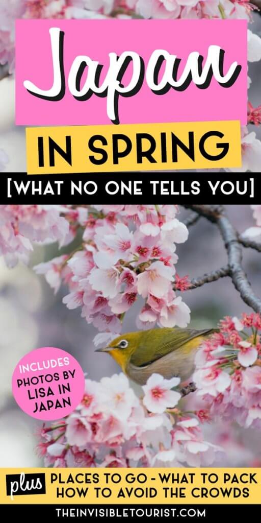 9 Surprising Things No One Tells You About Spring in Japan