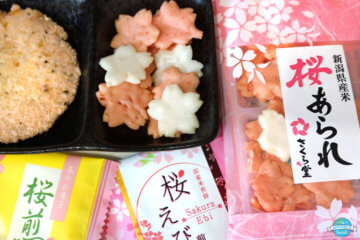 Sakuraco Box Review [2025]: Shipping, First Impressions, Snacks