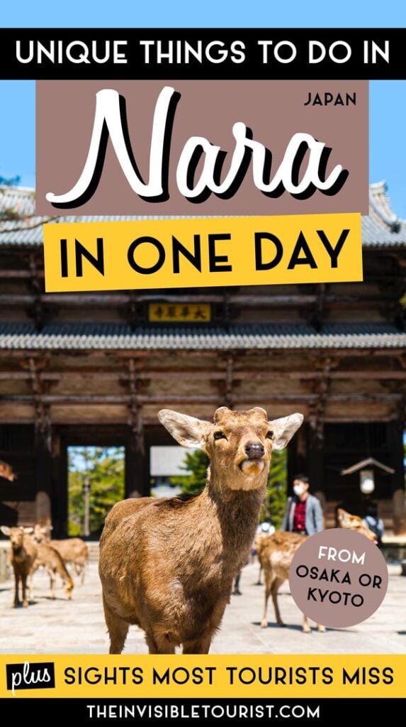 Day Trip to Nara Itinerary: Japan’s First Ancient Capital