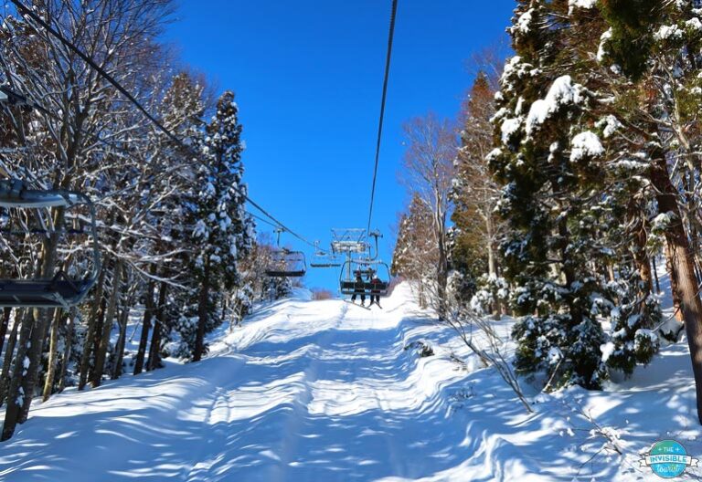 Snowy Day Trip to Gala Yuzawa from Tokyo [For Non-Skiers]
