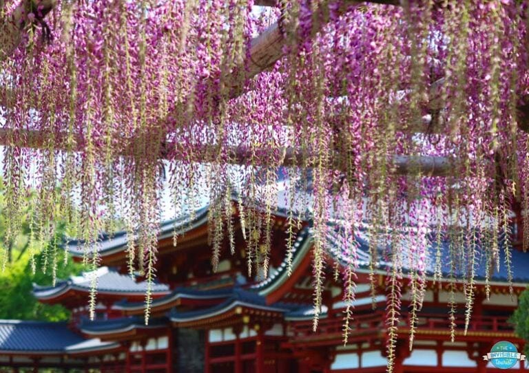 15 Underrated Things to Do in Uji: Ancient Cultural Centre