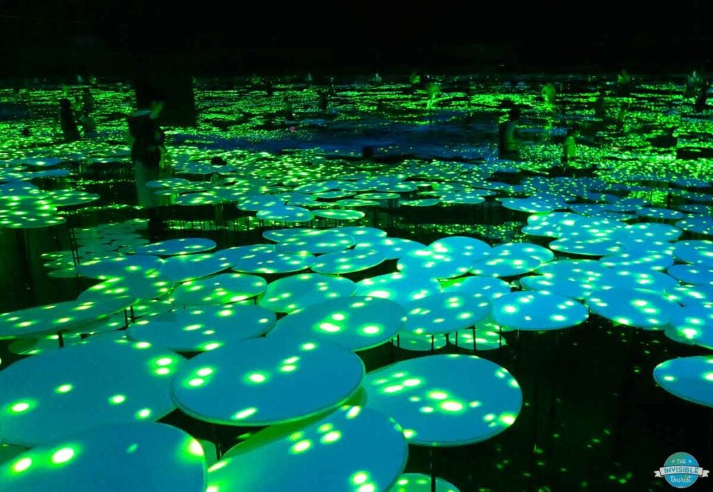 Is teamLab Borderless Worth It in Tokyo? Review & Essential Tips