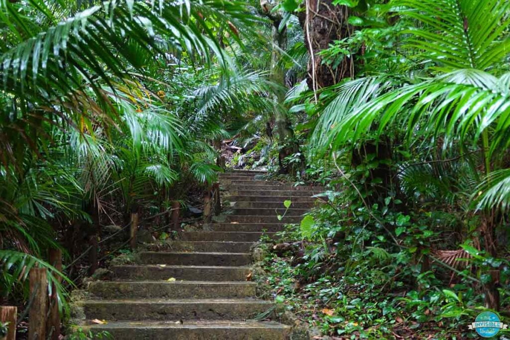 19 Unique Things to do in Okinawa: Japan's Paradise Islands