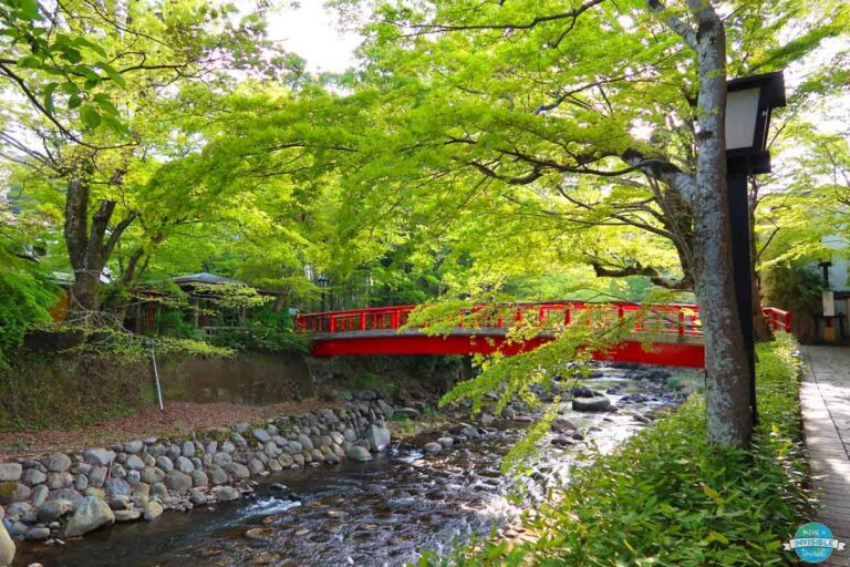 Shuzenji Onsen Itinerary: Overnight in Izu's Best Hot Spring Town