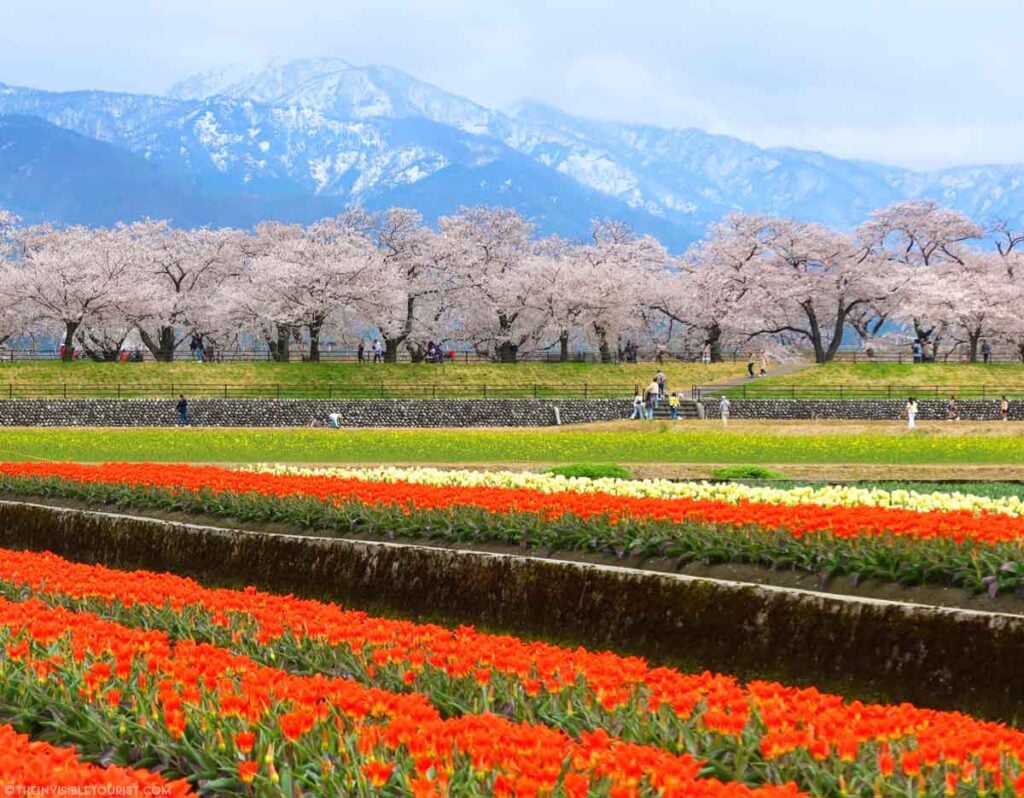 Unforgettable Things to do in Toyama & Nearby Attractions