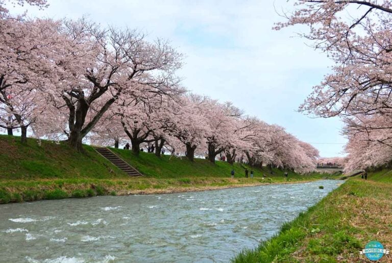 Unforgettable Things to do in Toyama & Nearby Attractions